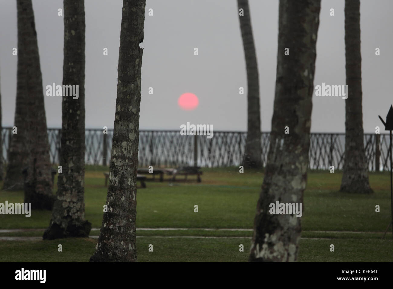 Wadduwa Western Province Sri Lanka Palm Trees At Sunset At Blue Water ...