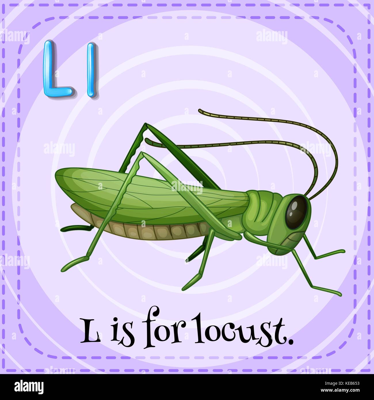 Flashcard letter L is for locust Stock Vector Image & Art - Alamy