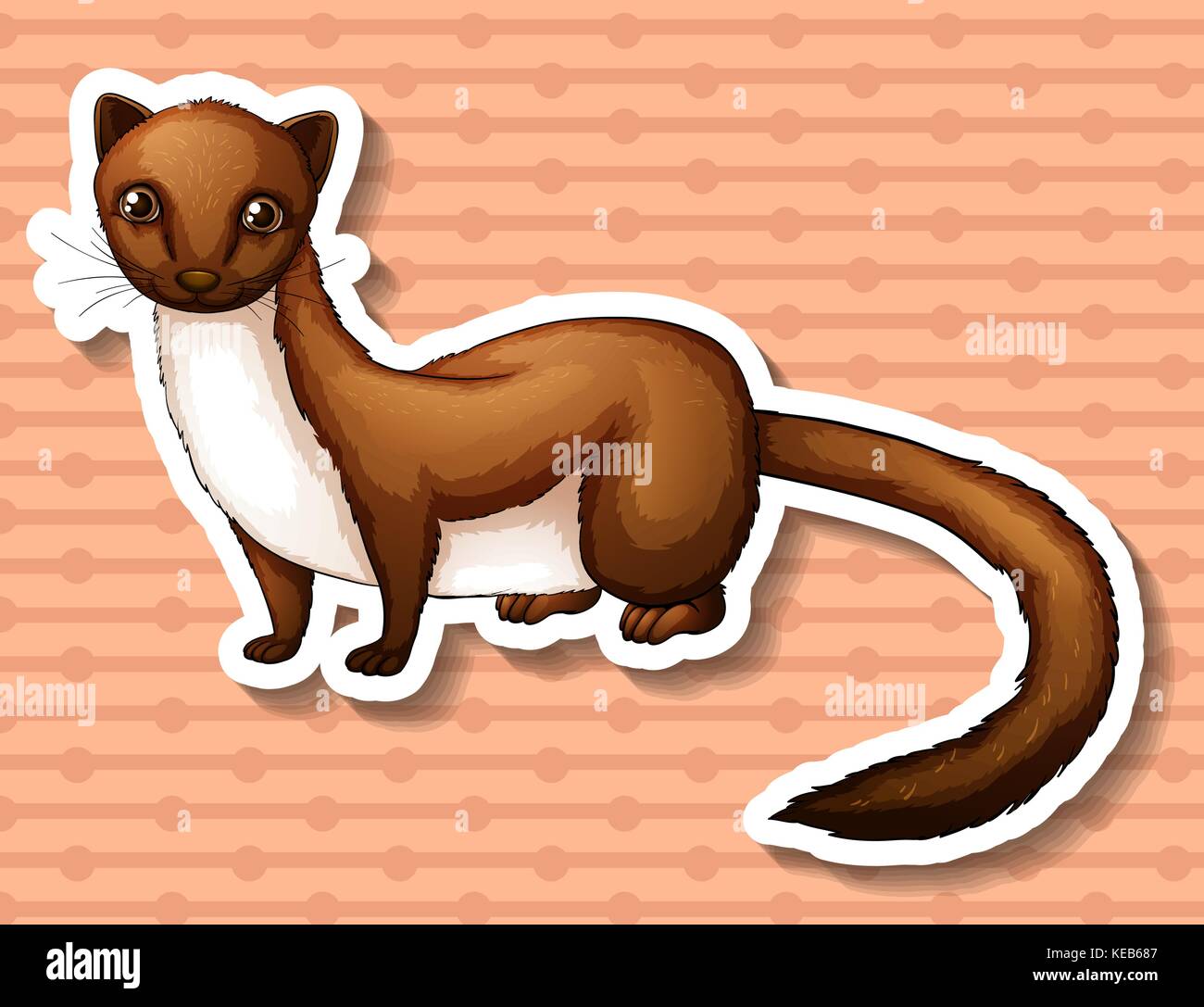 Close up cute minx standing alone Stock Vector Image & Art - Alamy