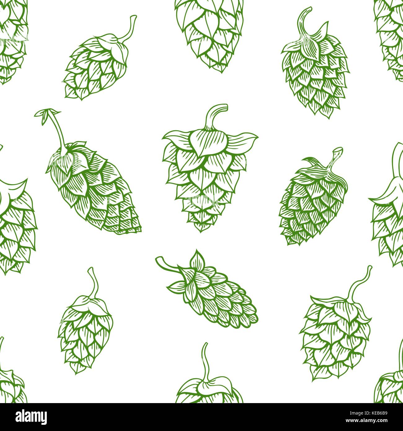 Hop botanical illustration pattern hi-res stock photography and images ...