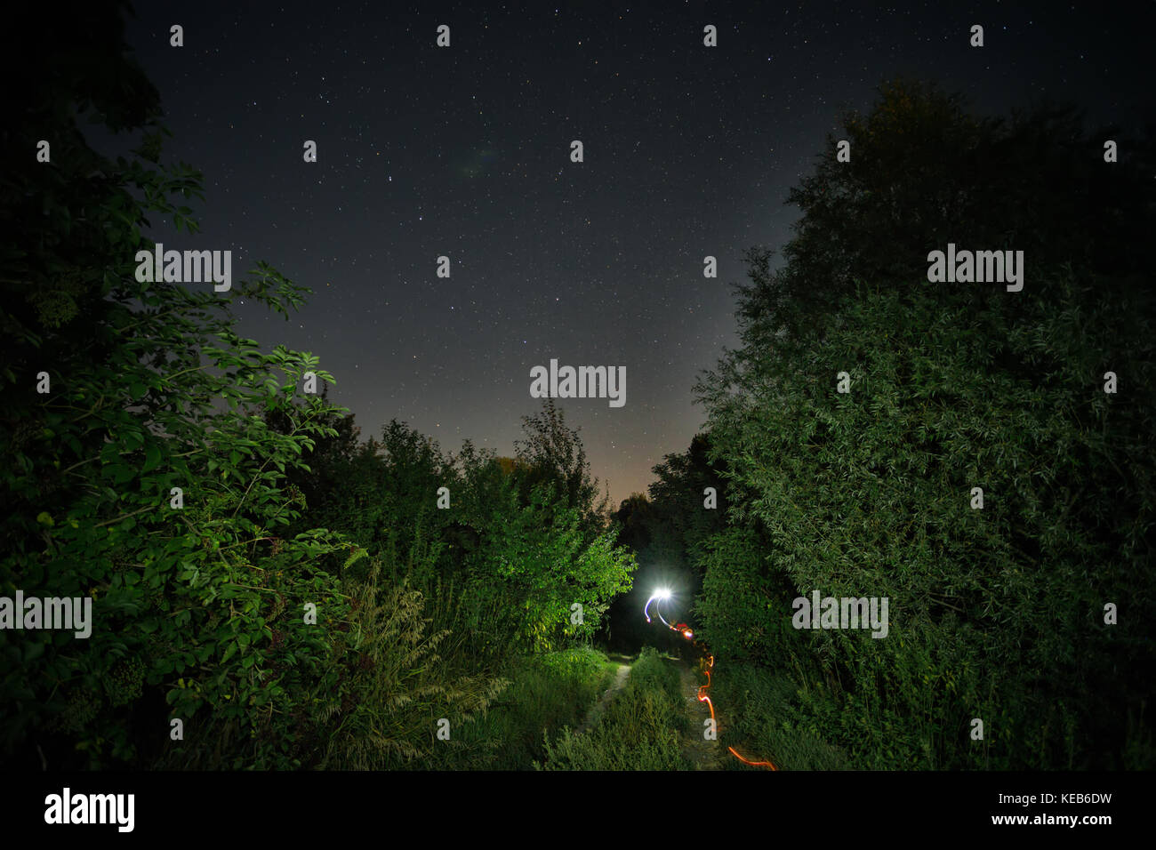 Rural road with a fiery track under the starry sky. Night landscape ...