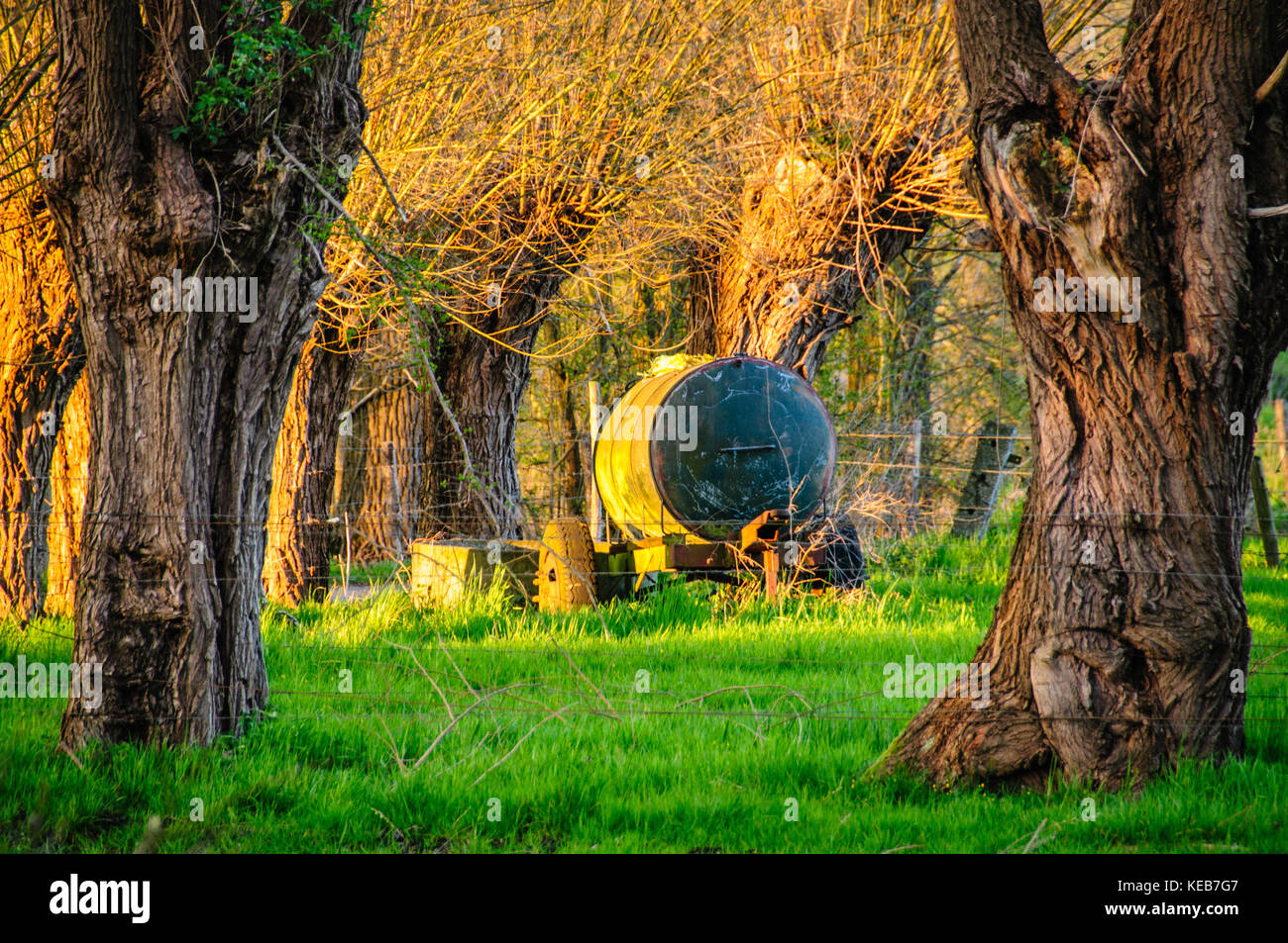 Water Tank in the evening light Stock Photo - Alamy