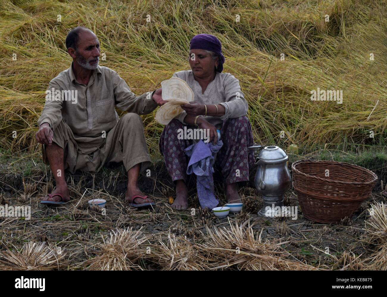 Threshing activities High Resolution Stock Photography and Images - Alamy