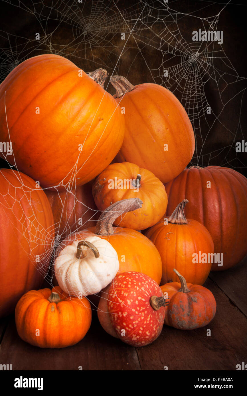 Pumpkins with spiders webs Stock Photo - Alamy