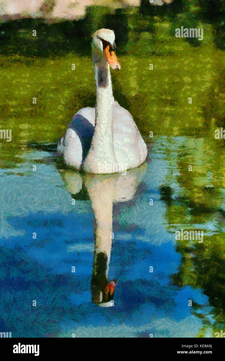 Mute swan in Attica Zoological Park, Greece Stock Photo - Alamy