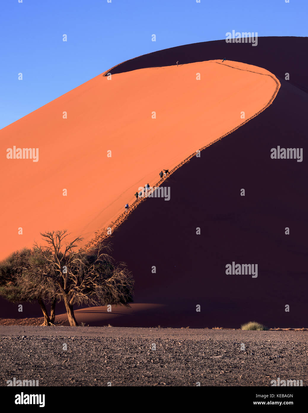 High sand dune 45 hi-res stock photography and images - Alamy