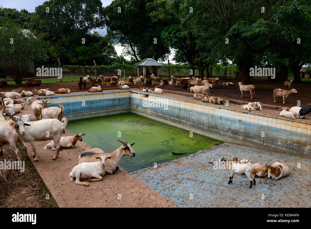 MOZAMBIQUE, Gondolo, BAGC Beira agricultural growth corridor, failed ...