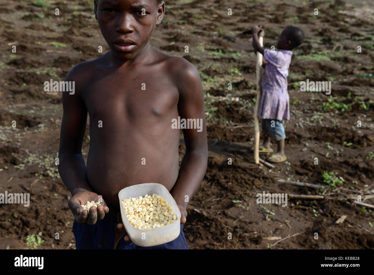 MOZAMBIQUE, Moatize, the village Chipanga was resettled by VALE coal ...