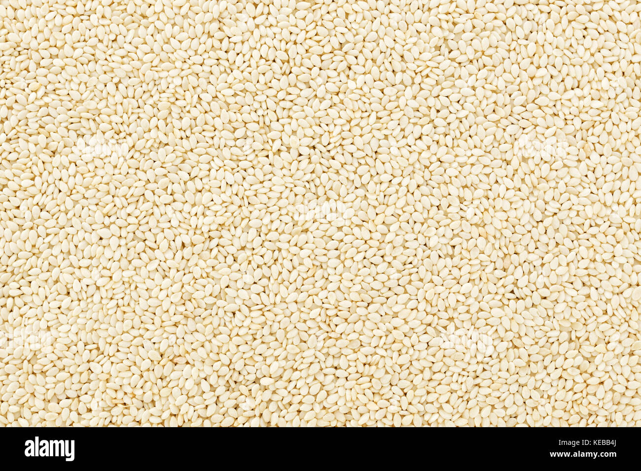 White sesame closeup texture and background Stock Photo - Alamy