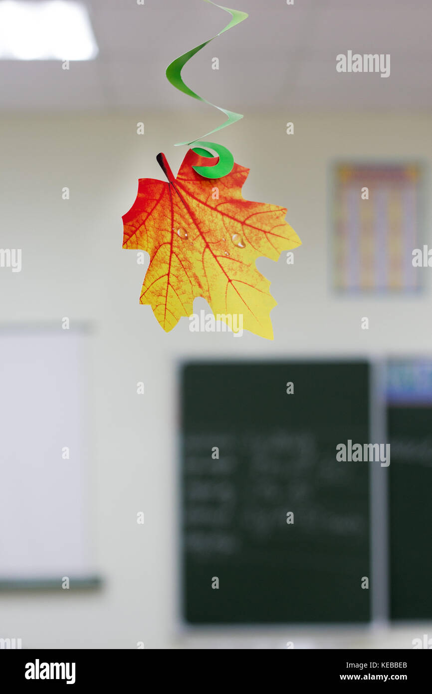 school board with autumn leave. School background. Classroom Stock ...