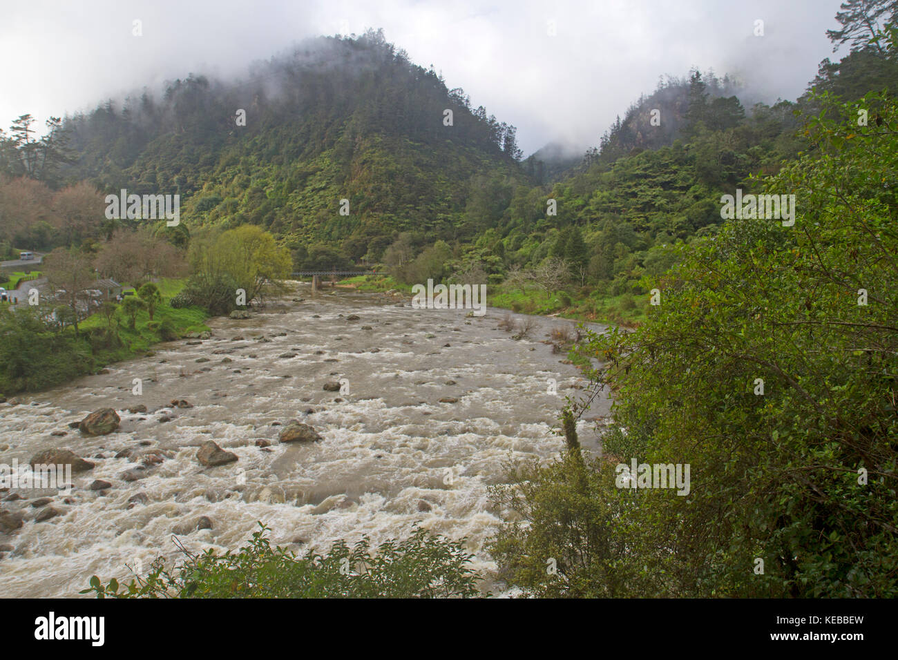 Ohinemuri River running through Karangahake Gorge Stock Photo - Alamy