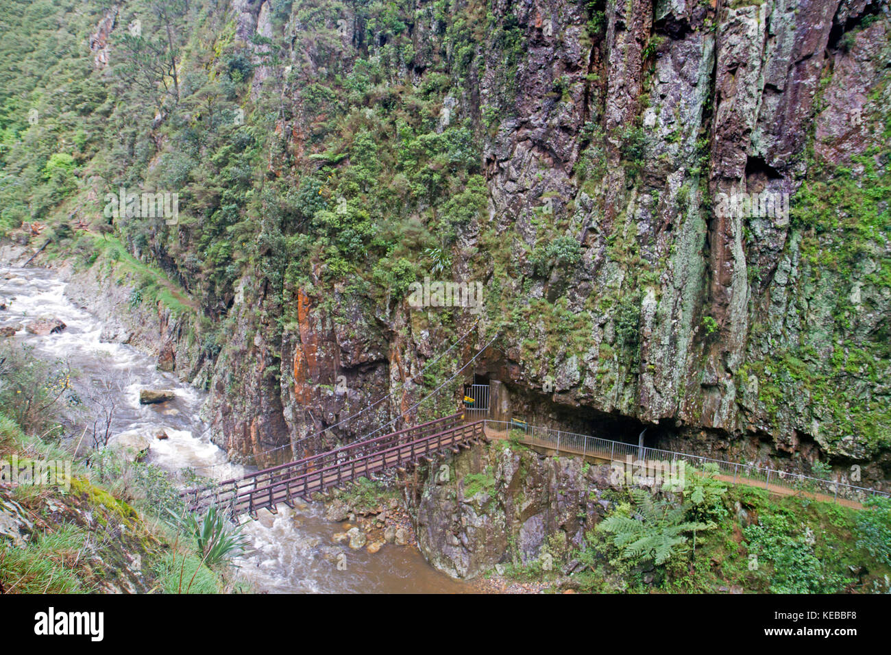 Bridge on the Windows Walk in Karangahake Gorge Stock Photo - Alamy
