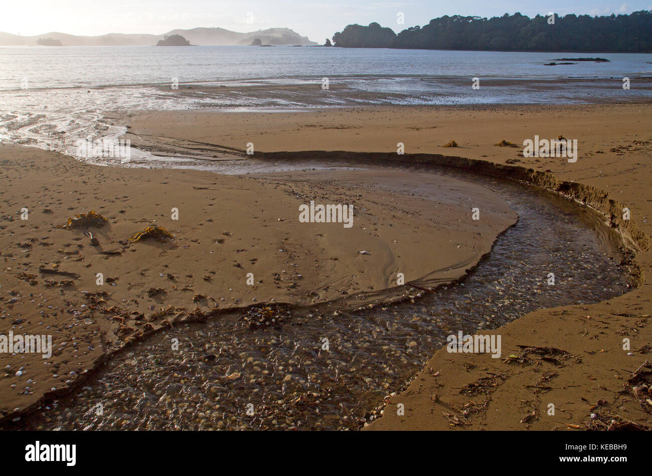 Beach at Rawhiti in the Bay of Islands Stock Photo - Alamy