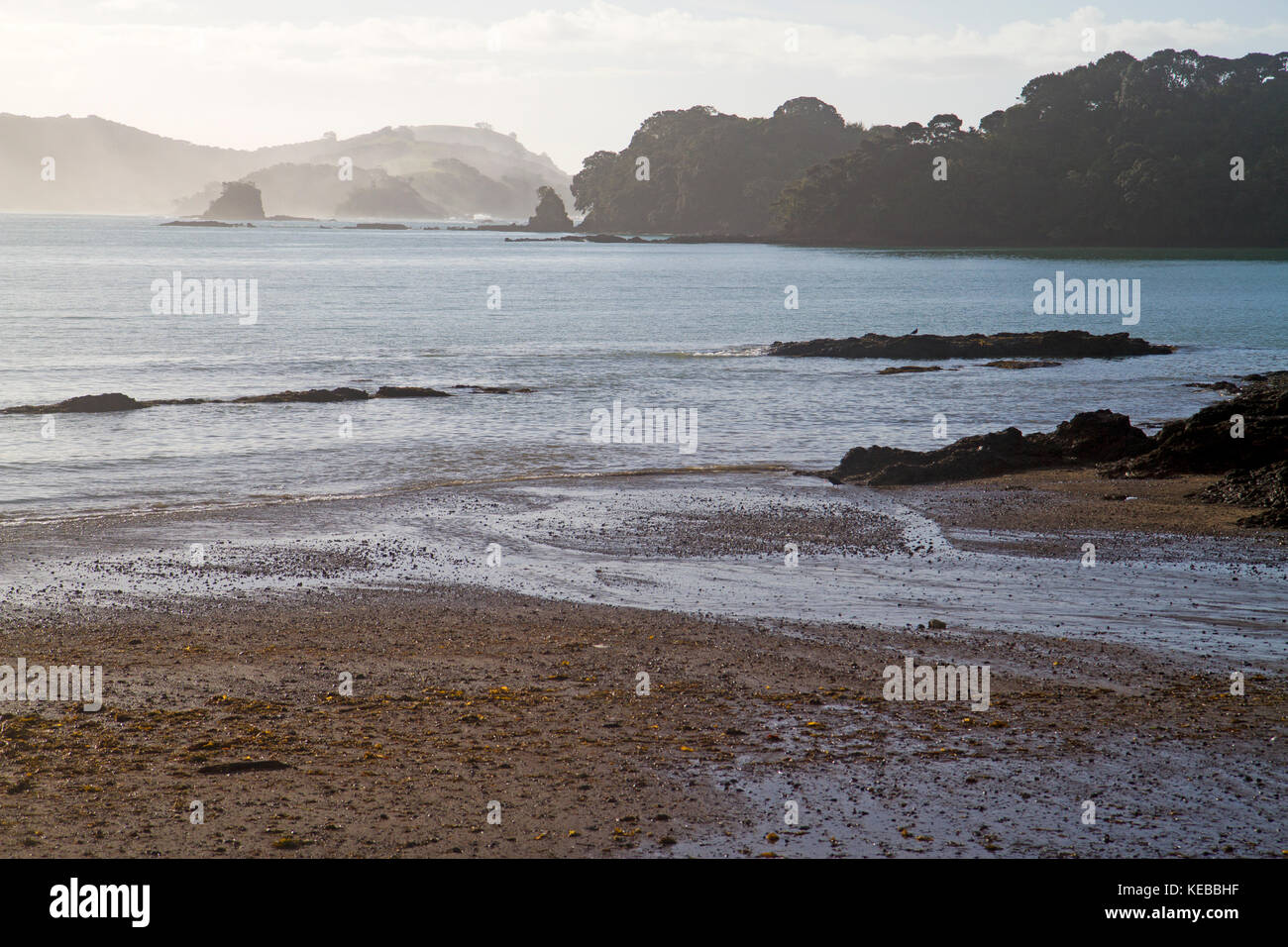 Beach at Rawhiti in the Bay of Islands Stock Photo - Alamy