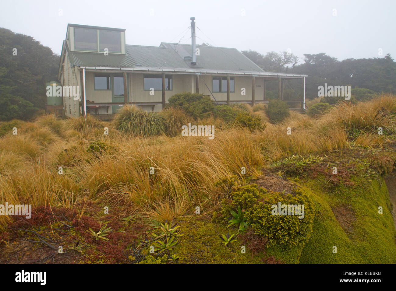 Sunrise Hut on the Sunrise Track in Ruahine Forest Park Stock Photo - Alamy
