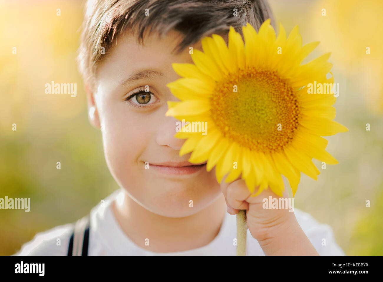Boy with sunflower hi-res stock photography and images - Alamy