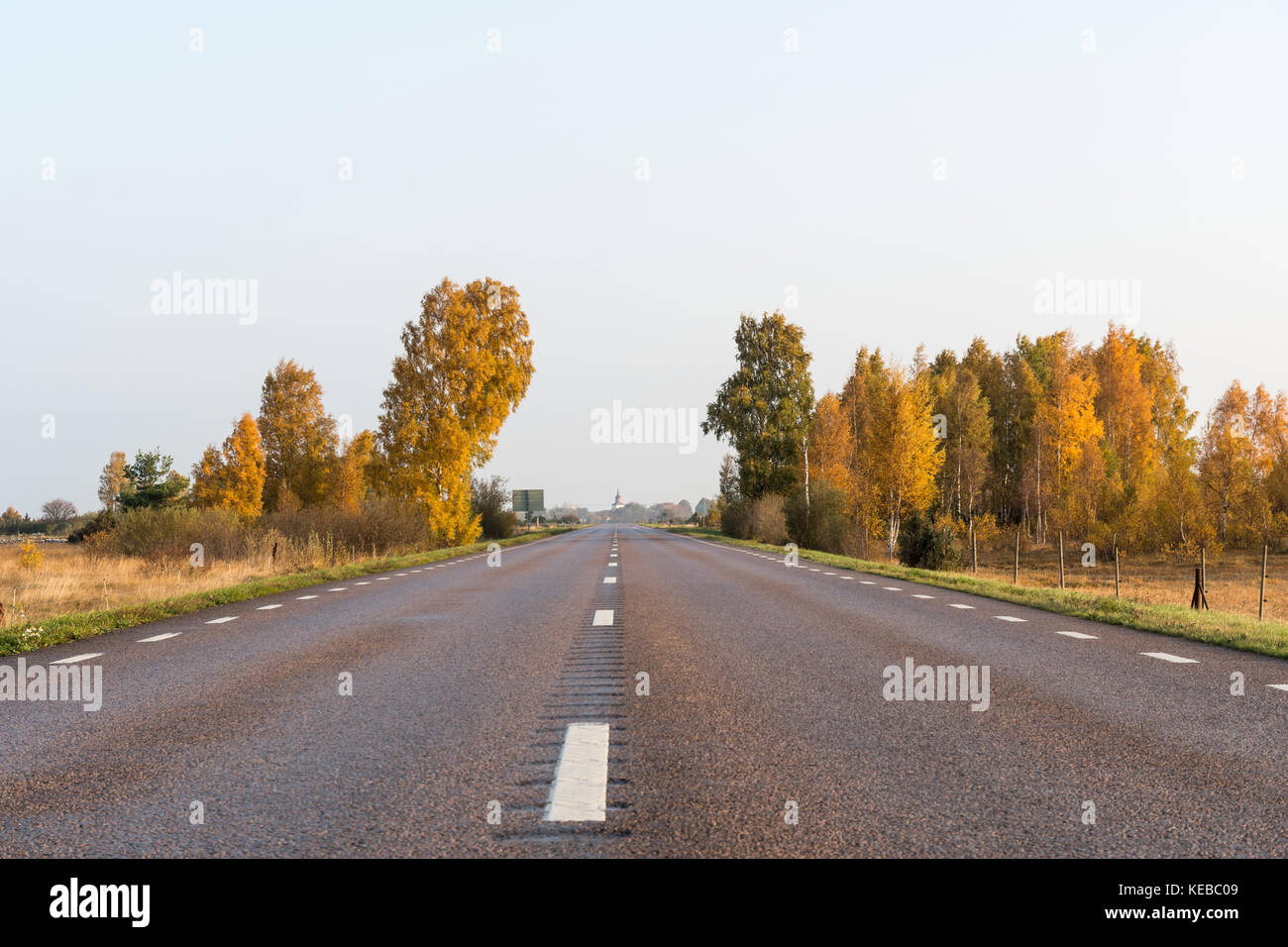 Sparkling fall colors by roadside in a low angle image of an asphalt ...