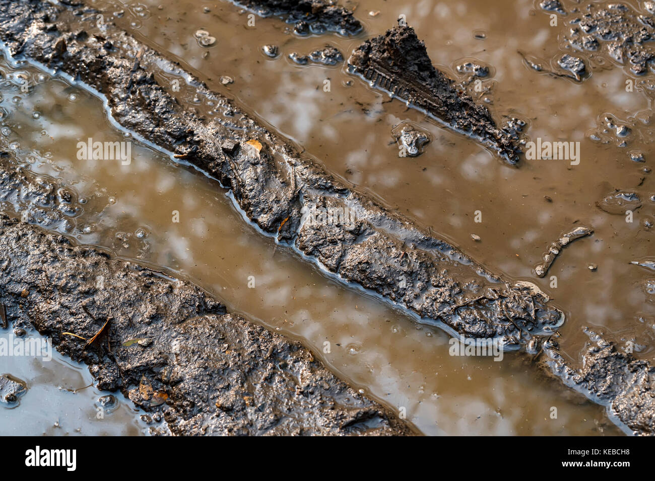 Mud and puddles on the dirt road Stock Photo - Alamy