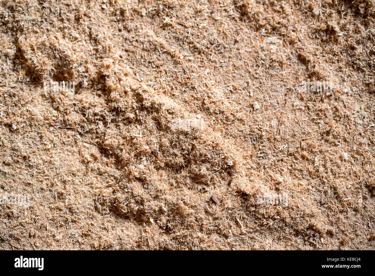 Seamless scobs background Stock Photo - Alamy