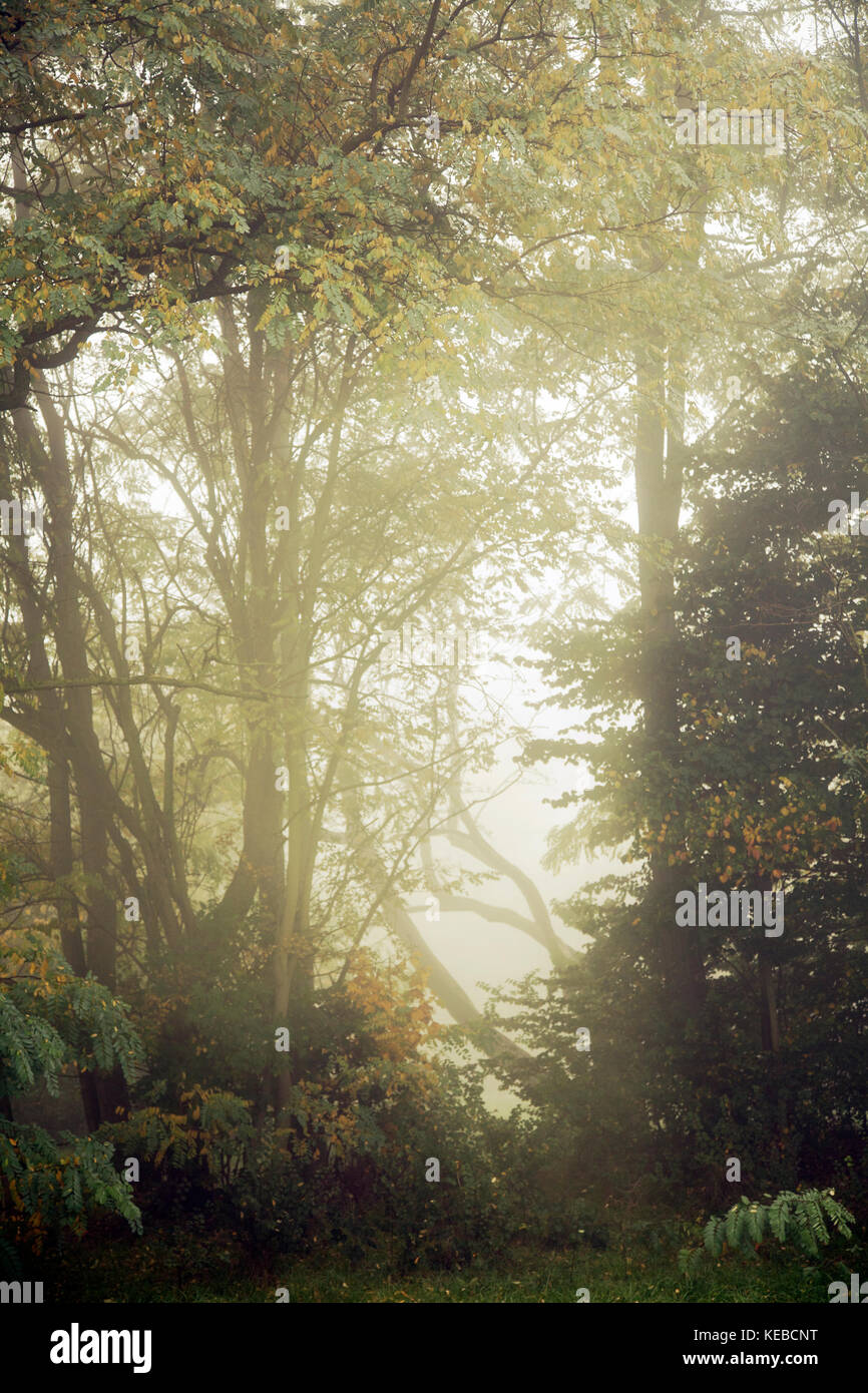 Faint light hi-res stock photography and images - Alamy