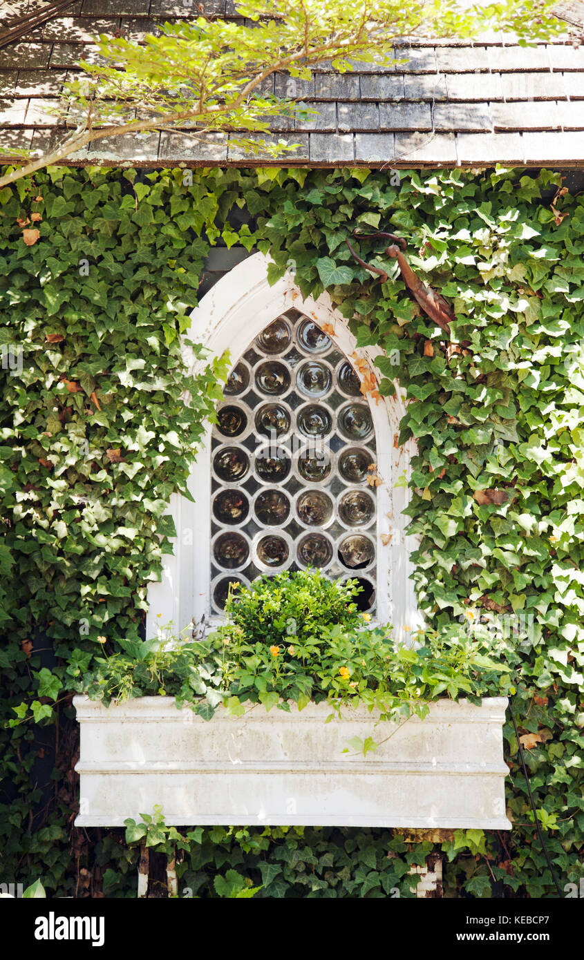 Arched Window with Vine Stock Photo - Alamy