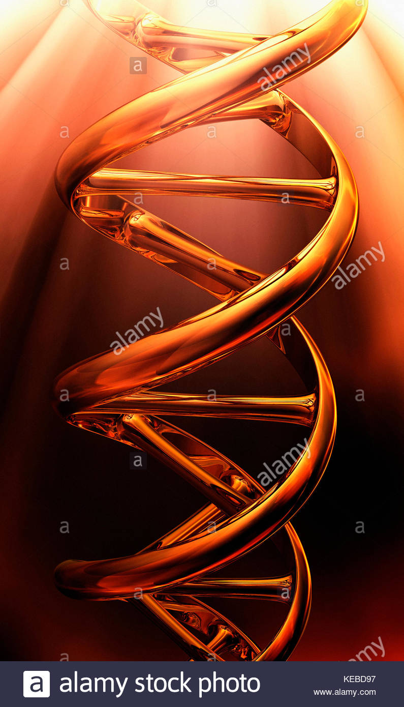 Double Helix Of Dna Stock Photos & Double Helix Of Dna Stock Images - Alamy