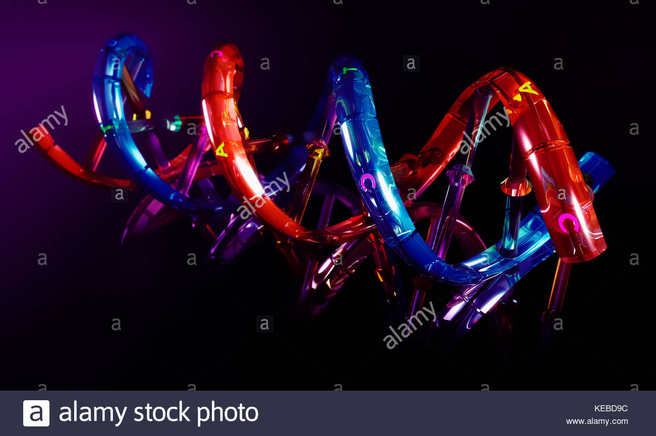 Double Helix Model Stock Photos & Double Helix Model Stock Images - Alamy