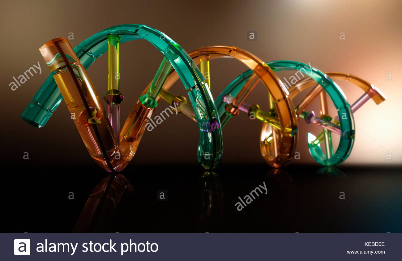 Double Helix Model Stock Photos & Double Helix Model Stock Images - Alamy
