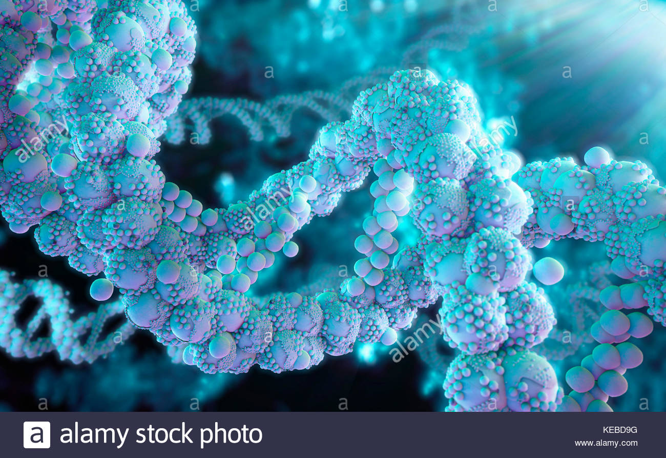 Double Helix Model Stock Photos & Double Helix Model Stock Images - Alamy