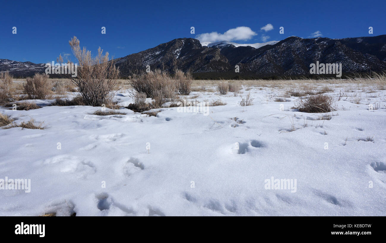 Rocky mountain of Colorado in the cold winter Stock Photo - Alamy