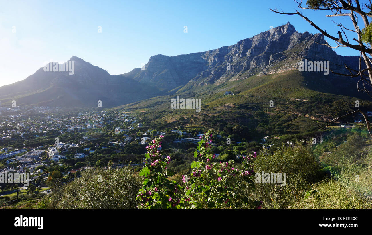 View of Cape Town, South Africa Stock Photo - Alamy