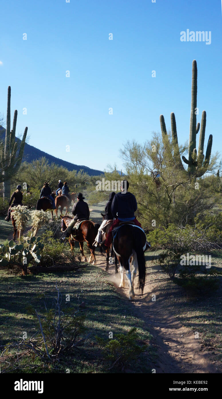 Arizona horse riding adventures Stock Photo - Alamy
