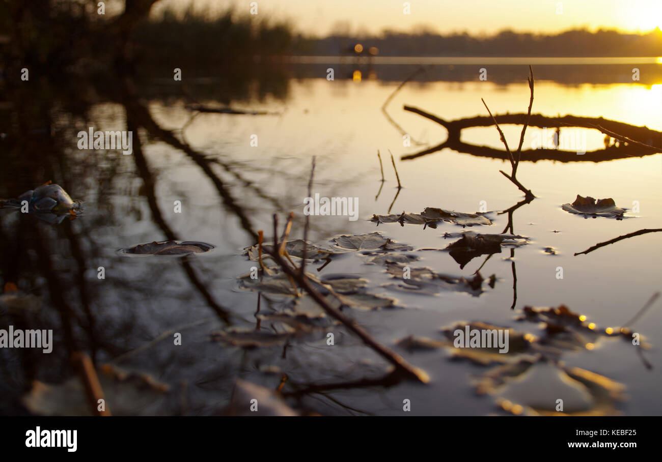 Weather swim hi-res stock photography and images - Alamy