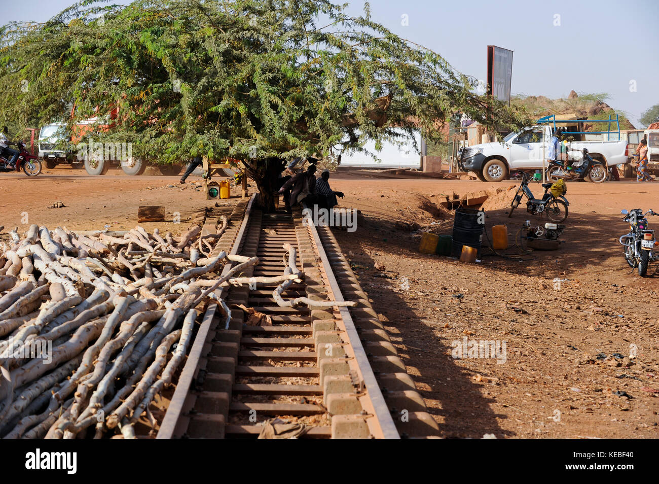 BURKINA FASO Kaya, tree on abandoned railway track / BURKINA FASO Kaya ...