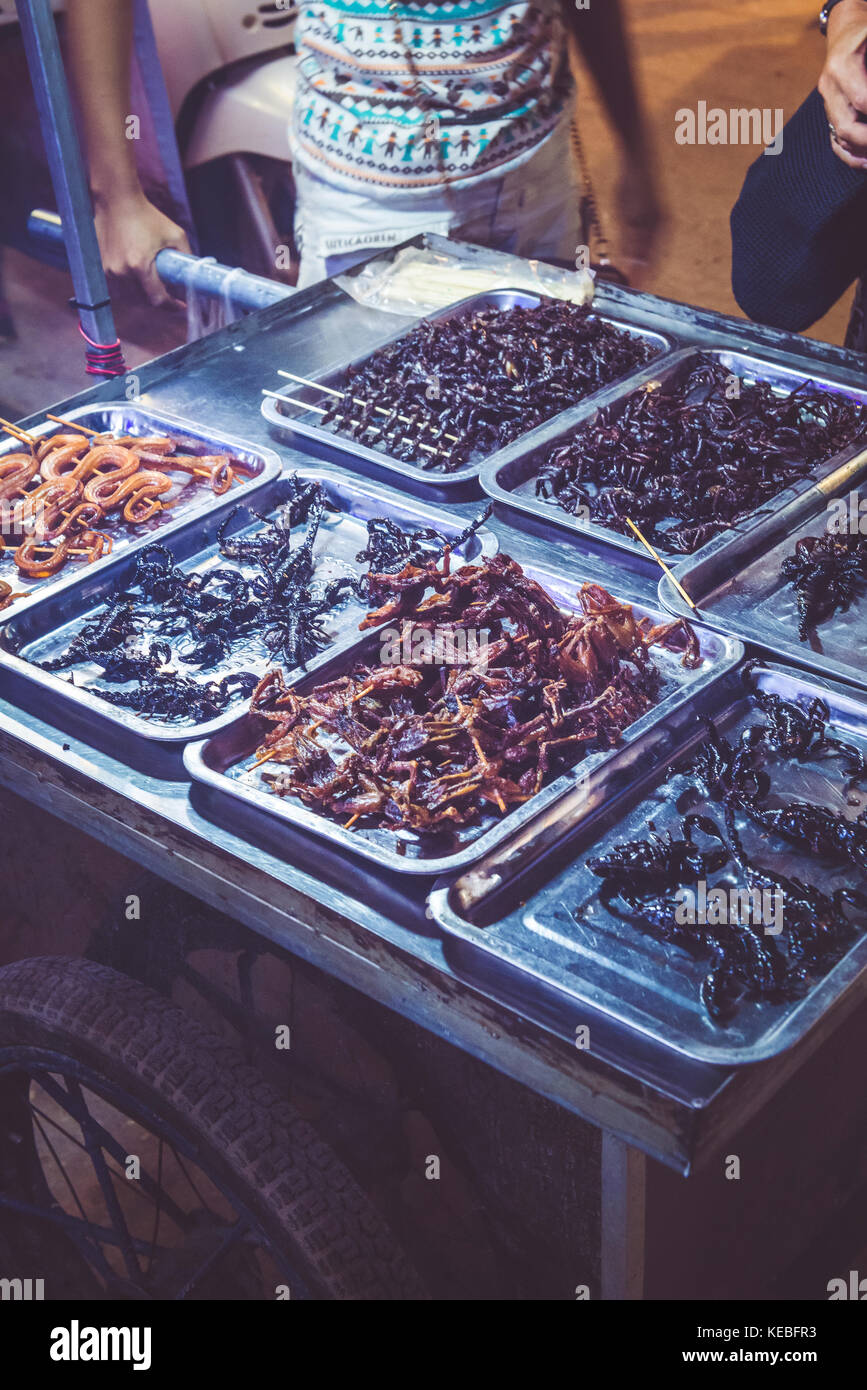 A selection of scorpions, snakes, spiders, and other delicacies in the ...