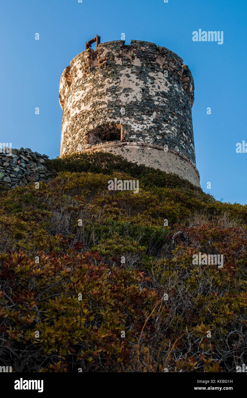 Corsica: sunset on La Parata Tower, a ruined Genoese tower built in ...