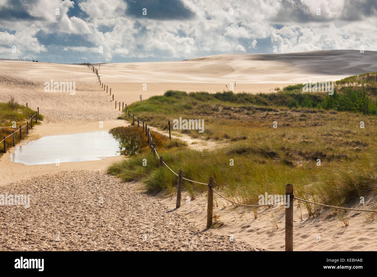 National park in Leba - famous dunes. Poland Stock Photo - Alamy
