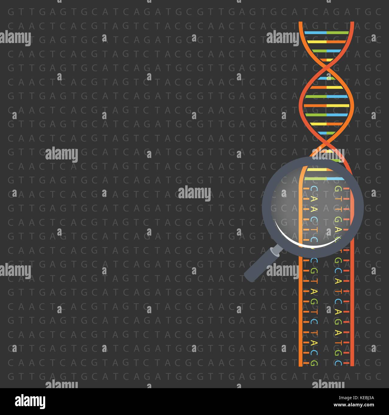 DNA structure background and icon Stock Vector Image & Art - Alamy