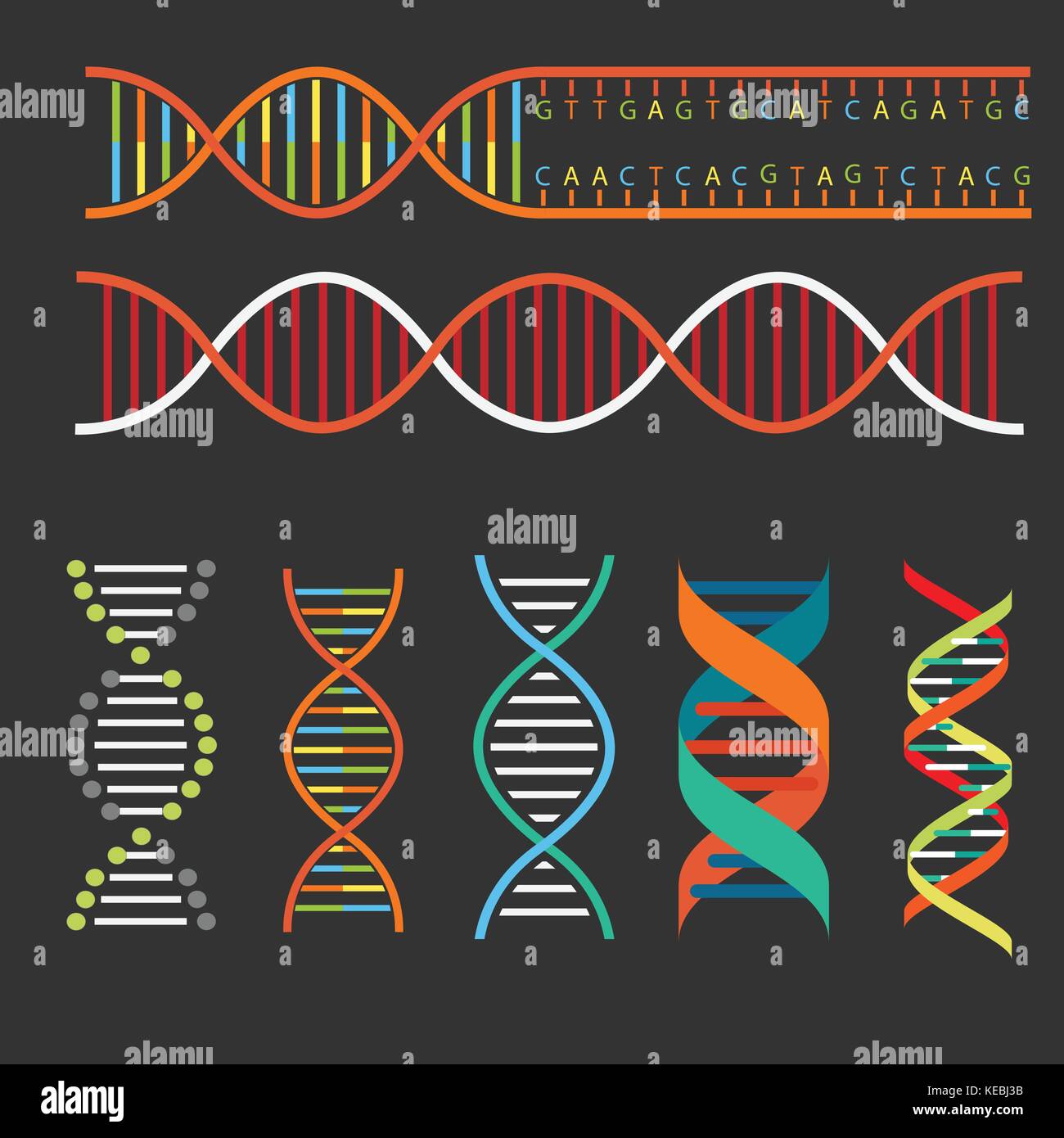 DNA structure background and icon Stock Vector Image & Art - Alamy