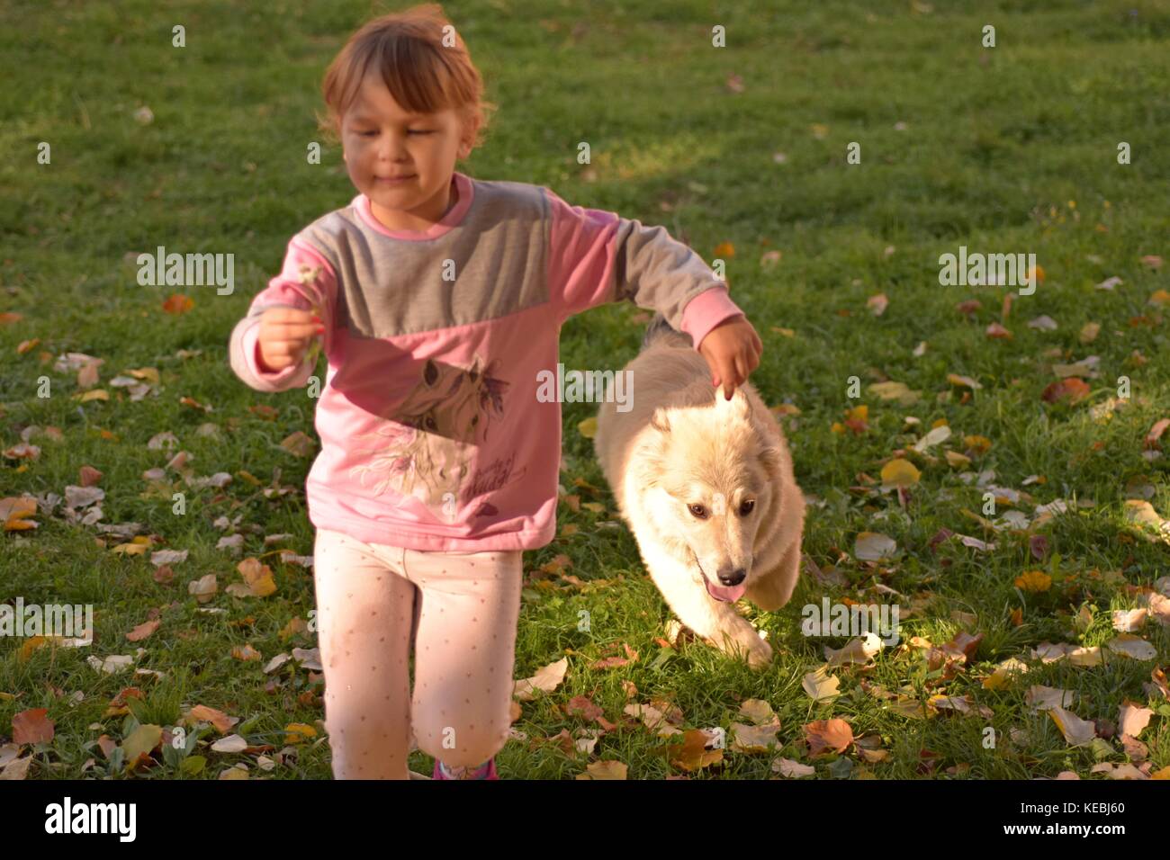 Little girl running on a green meadow with white puppy following behind ...