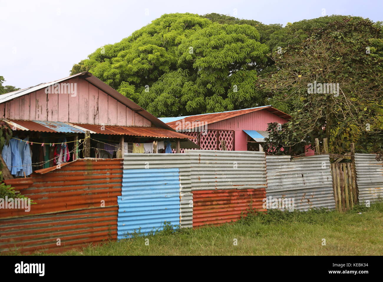 Typical houses, Tortuguero village centre, Limón province, Caribbean ...