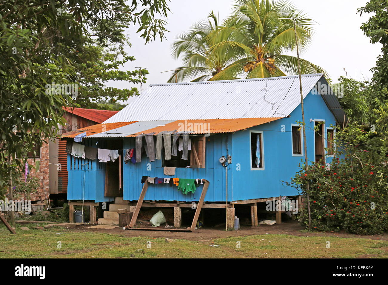 Typical house, Tortuguero village centre, Limón province, Caribbean Sea ...