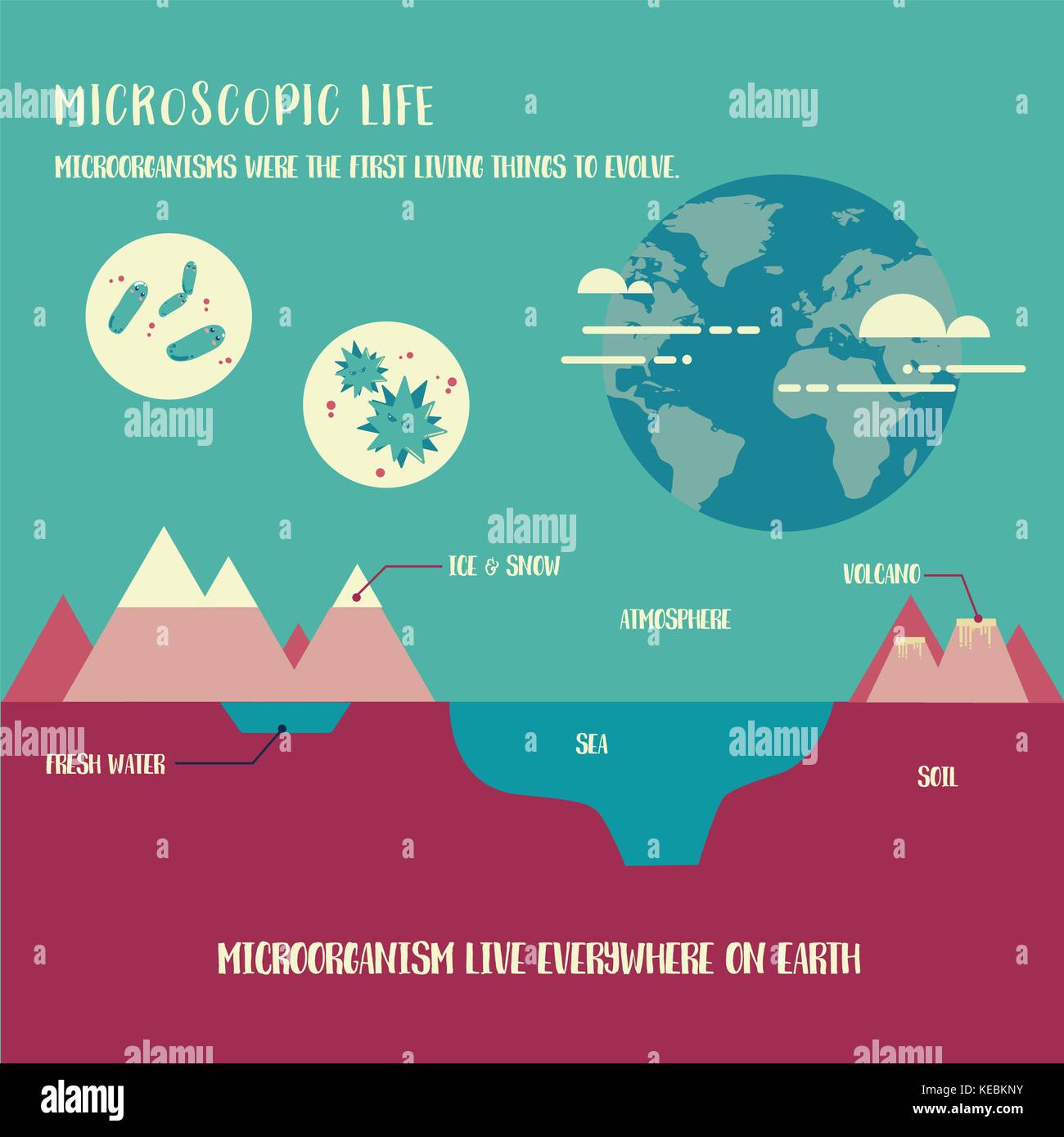 Microorganism life infographic illustration vector Stock Vector Image ...