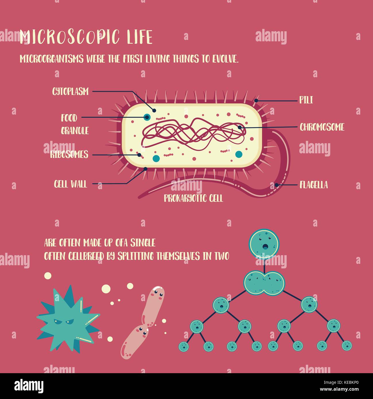 Microorganism life infographic illustration vector Stock Vector Image ...