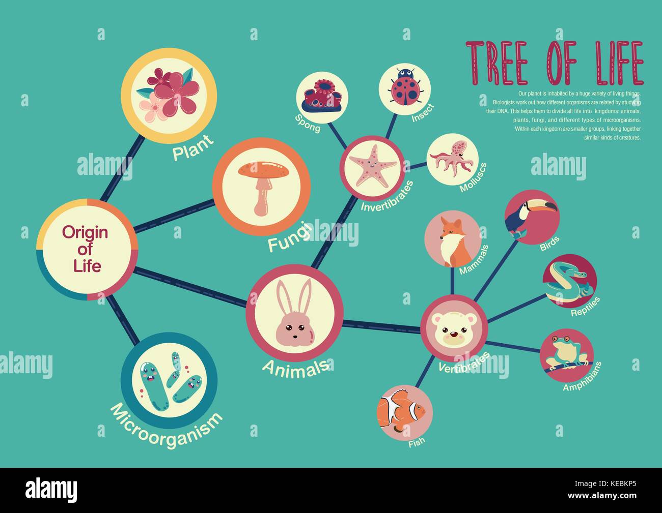 Tree of life infographic vector illustration Stock Vector Image & Art ...