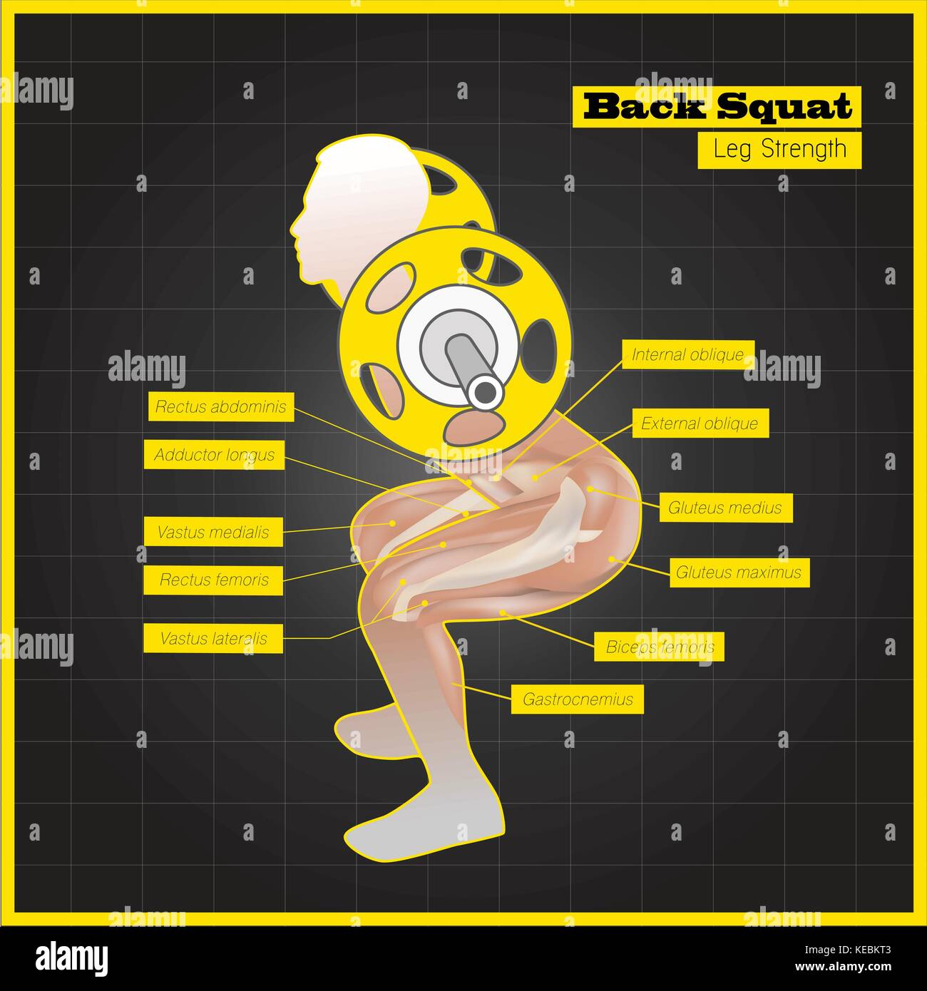 Antagonistic muscle exercises and Workouts Stock Vector Image & Art - Alamy