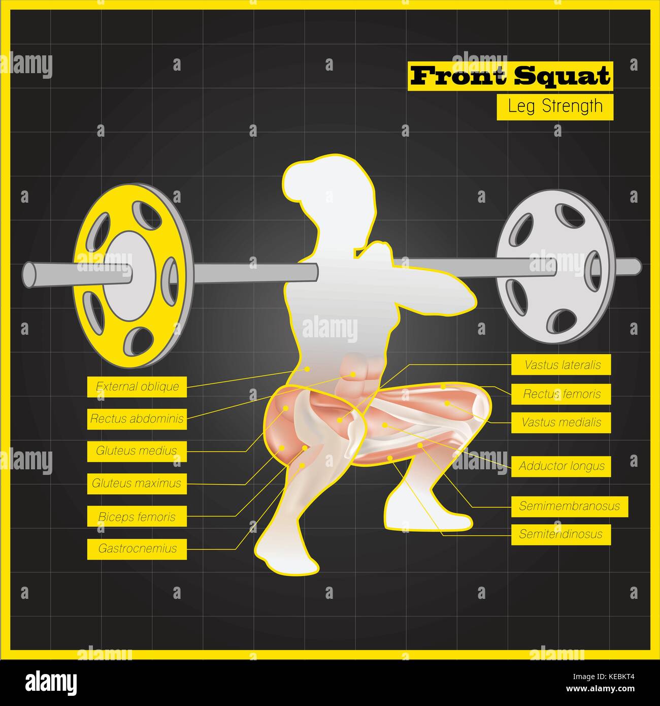 Antagonistic muscle exercises and Workouts Stock Vector Image & Art - Alamy