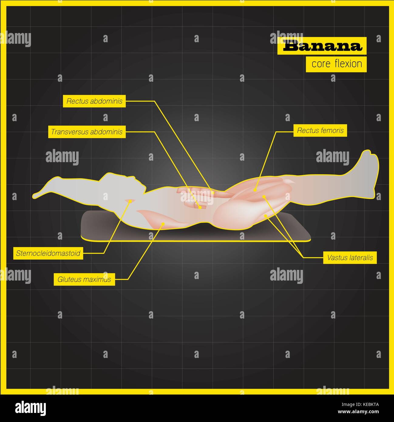 Workouts and exercises Stock Vector Images - Alamy