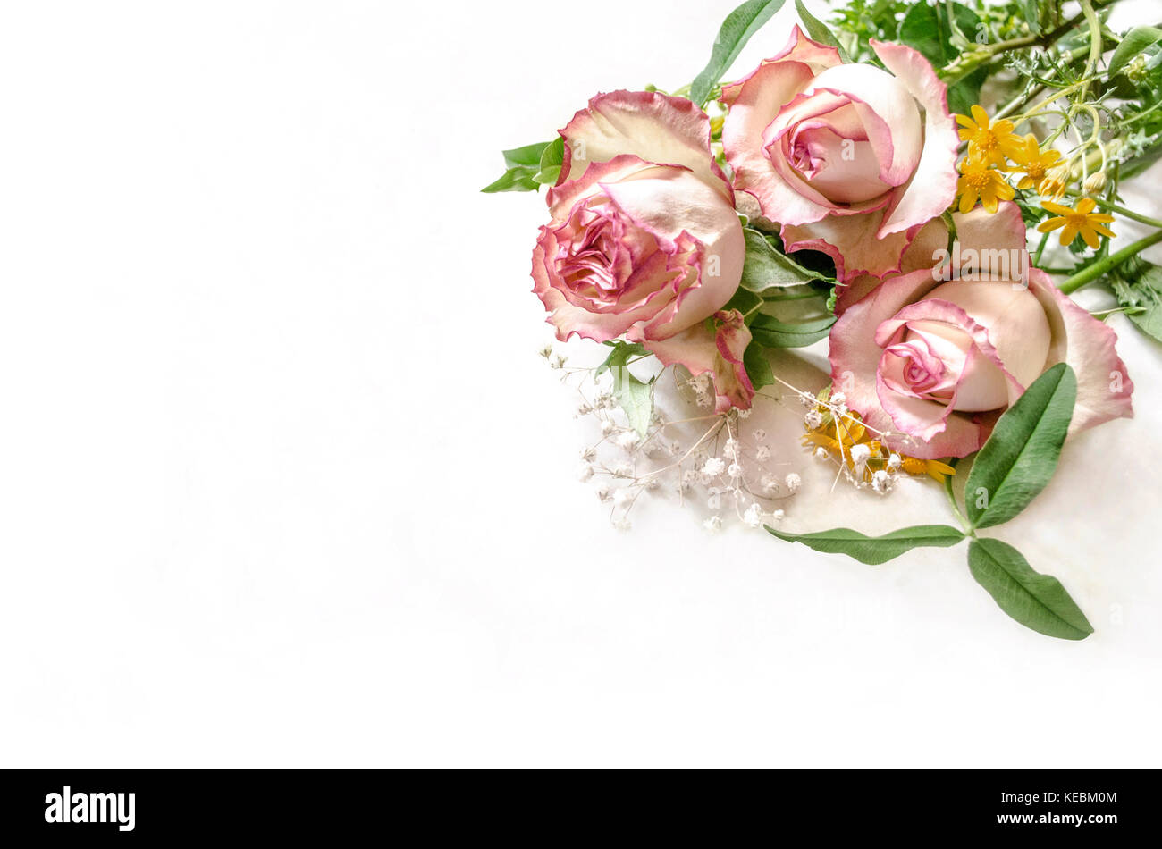 Bouquet of pink roses with leaves of clover and wild flowers on white ...