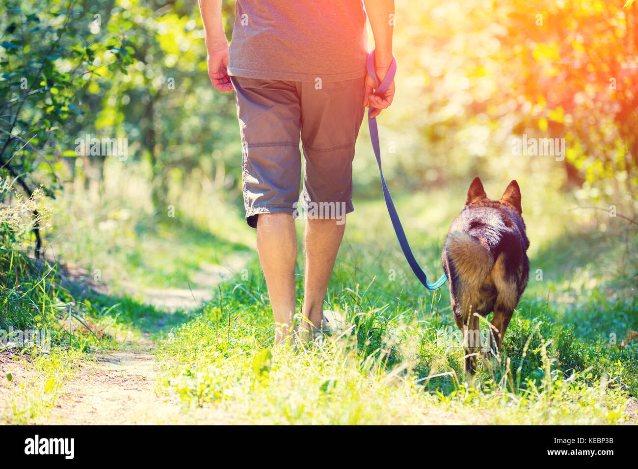 Black dog on country road hi-res stock photography and images - Alamy